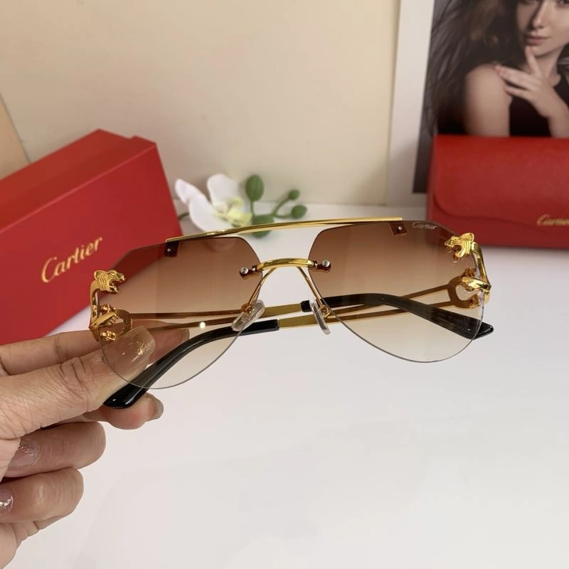 Reasonably priced Cartier Sunglasses