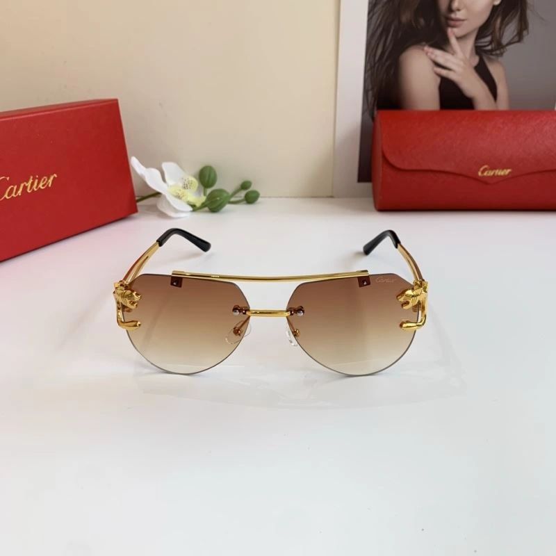 Reasonably priced Cartier Sunglasses
