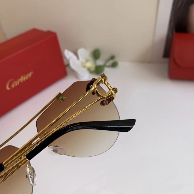 Reasonably priced Cartier Sunglasses