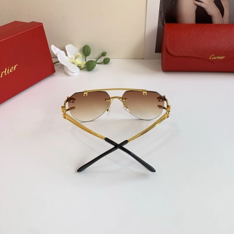 Reasonably priced Cartier Sunglasses