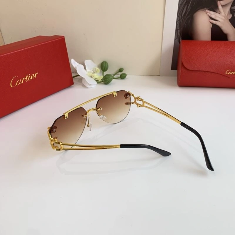 Reasonably priced Cartier Sunglasses