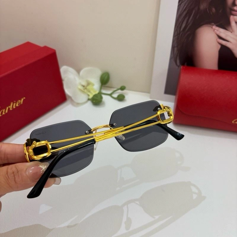Reasonably priced Cartier Sunglasses