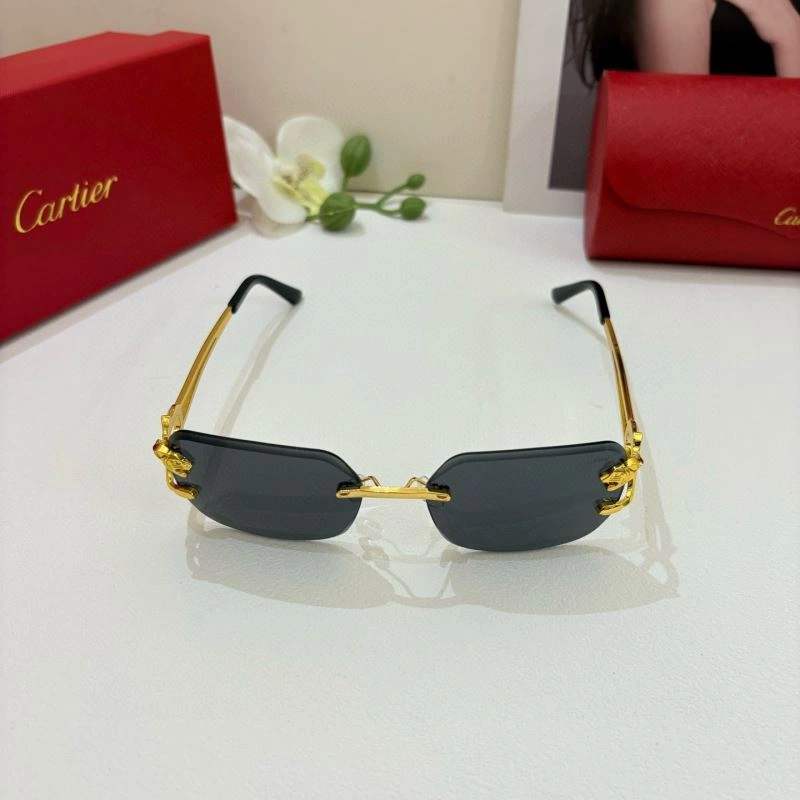 Reasonably priced Cartier Sunglasses