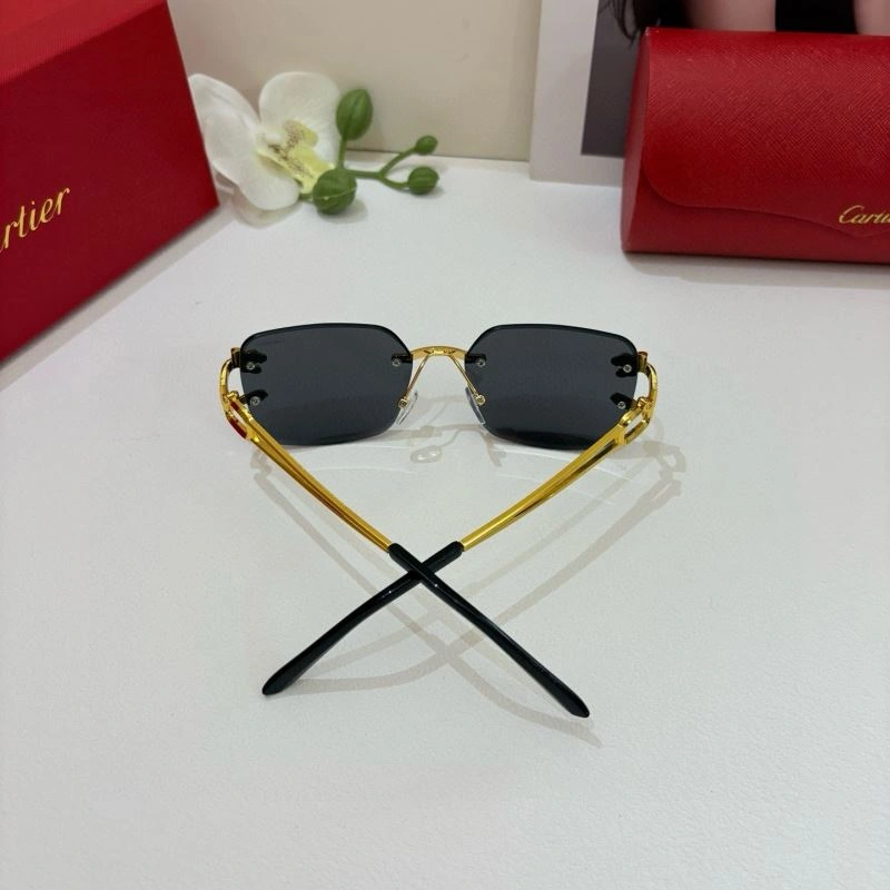 Reasonably priced Cartier Sunglasses
