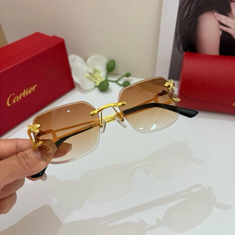 Inexpensive Cartier Sunglasses