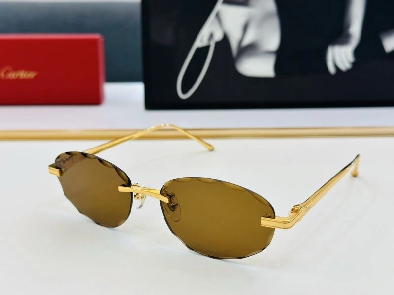 Indistinguishable Cartier Sunglasses