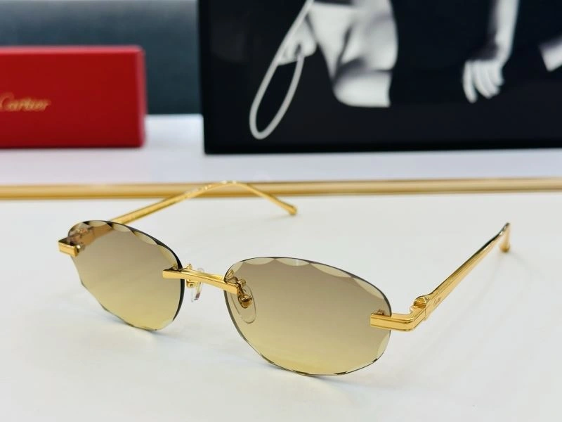 Indistinguishable Cartier Sunglasses