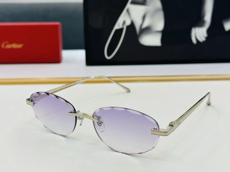 Indistinguishable Cartier Sunglasses