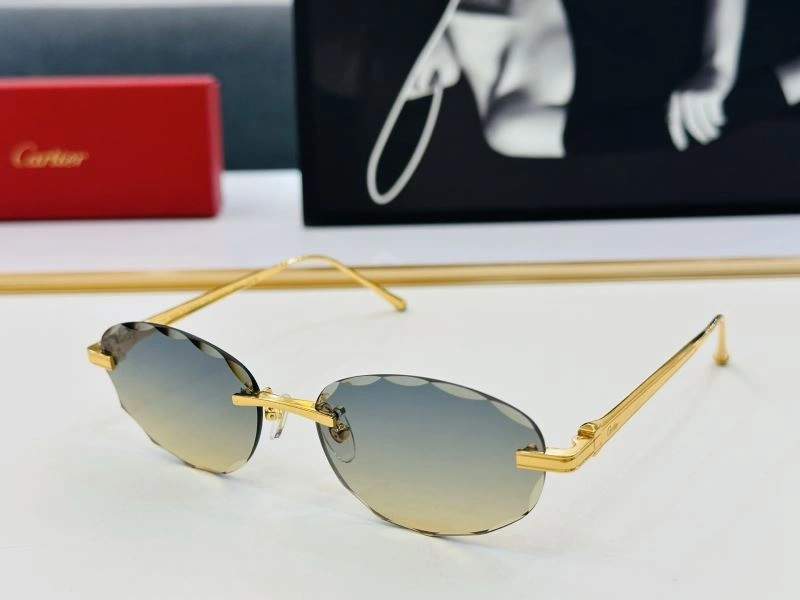 Indistinguishable Cartier Sunglasses
