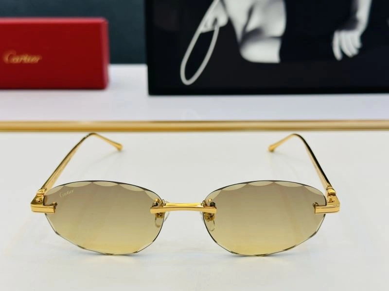 Indistinguishable Cartier Sunglasses