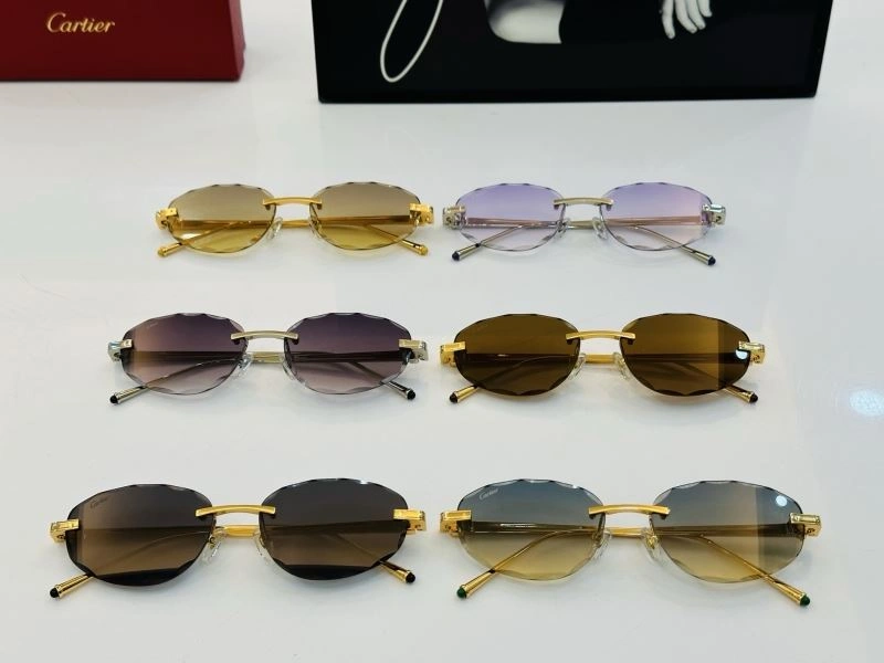 Indistinguishable Cartier Sunglasses