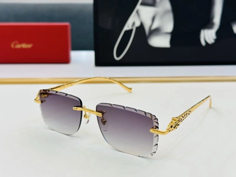 Cartier Sunglasses