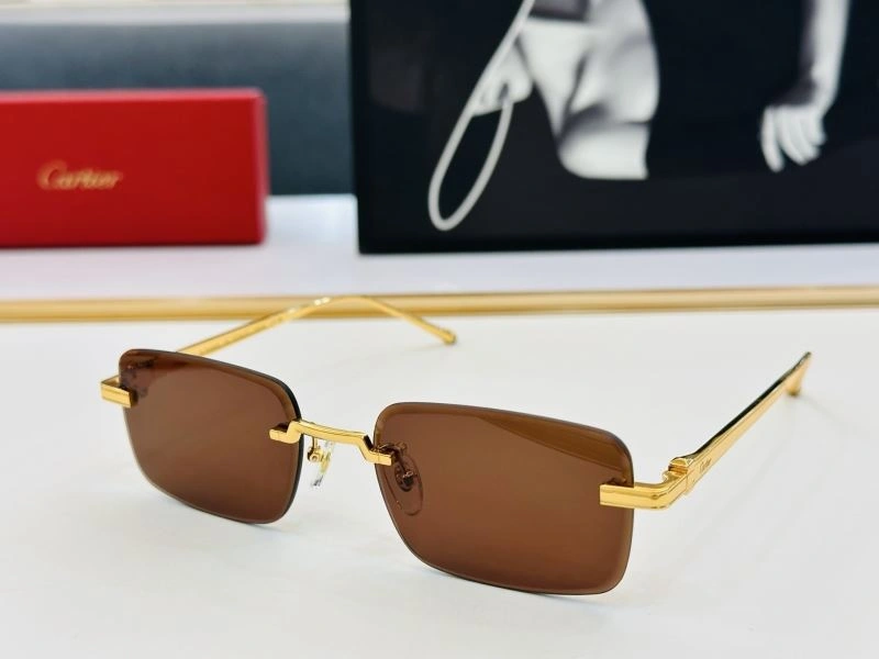 Top match Cartier Sunglasses