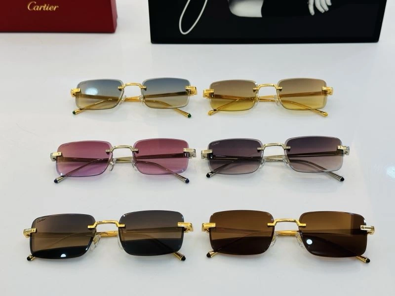 Top match Cartier Sunglasses