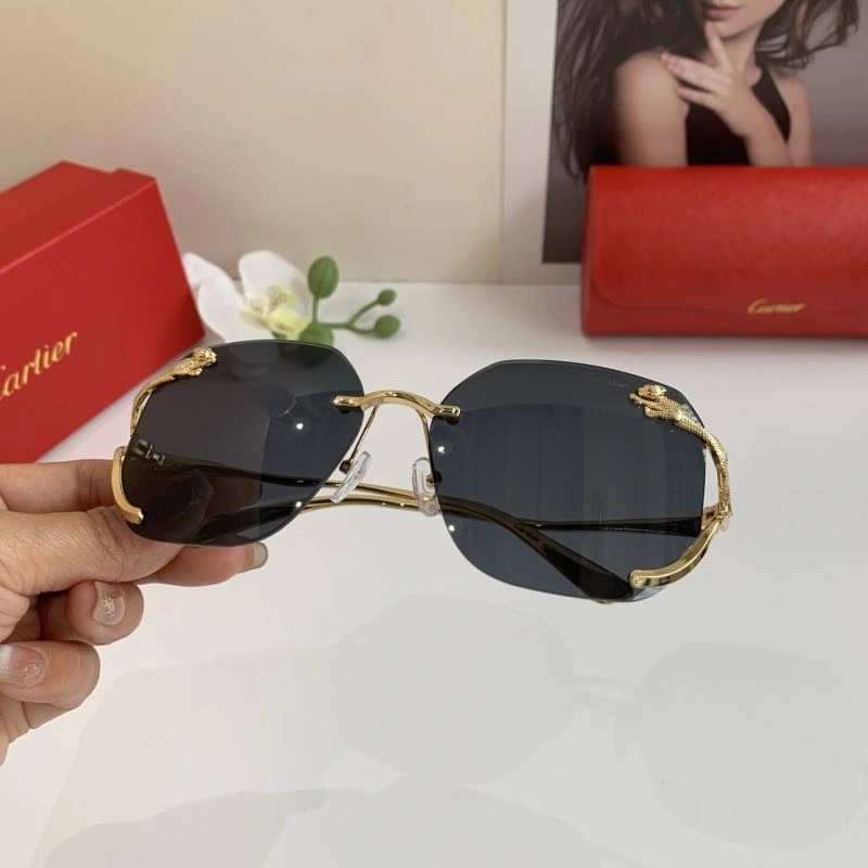 Indistinguishable Cartier Sunglasses