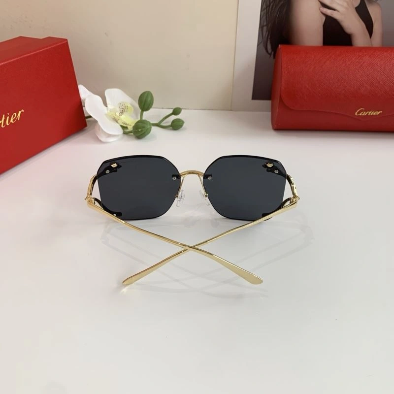 Indistinguishable Cartier Sunglasses