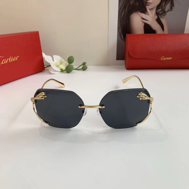 Indistinguishable Cartier Sunglasses