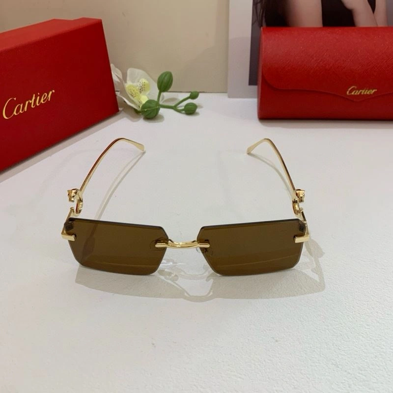 Brand-authenticated Cartier Sunglasses