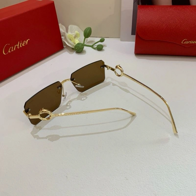 Brand-authenticated Cartier Sunglasses
