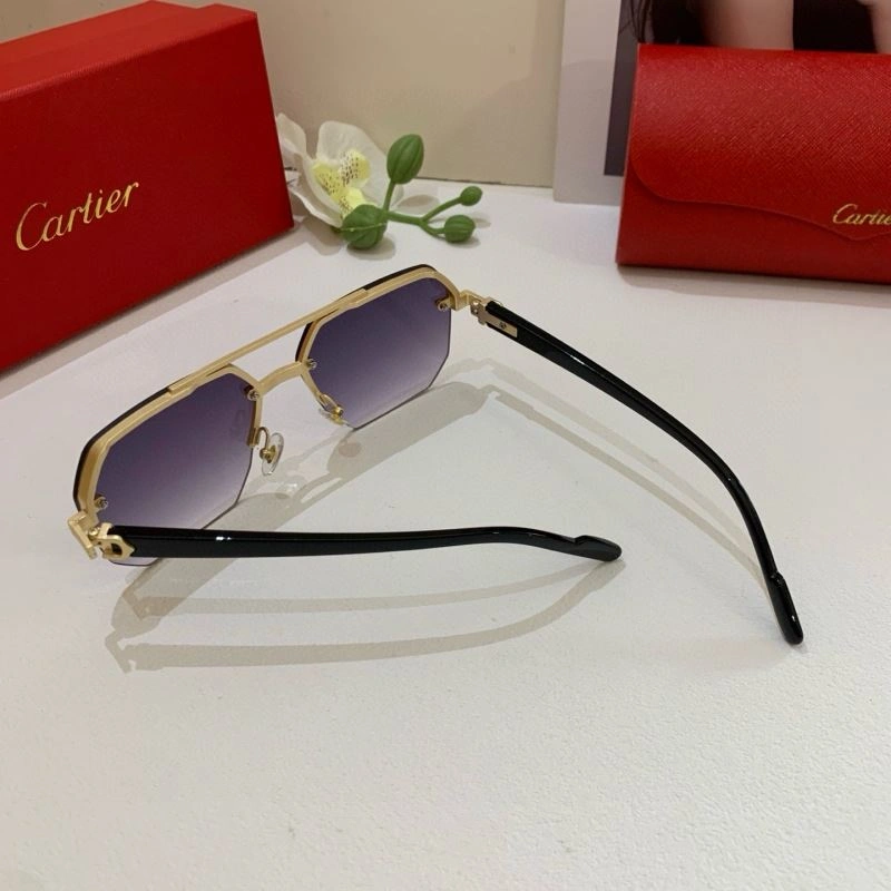 Brand-original Cartier Sunglasses