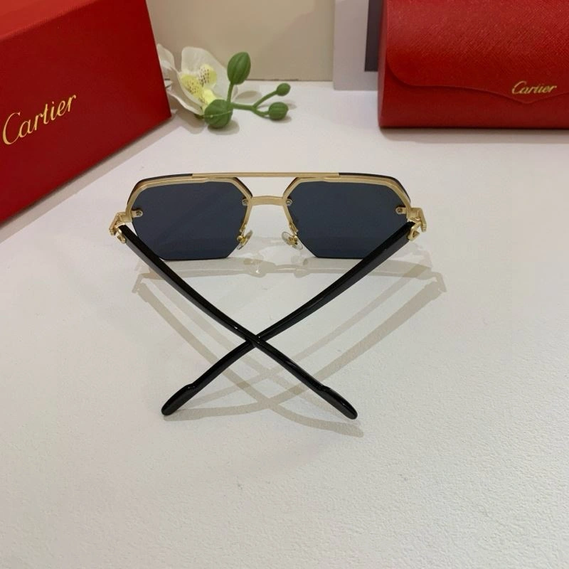 Top match Cartier Sunglasses