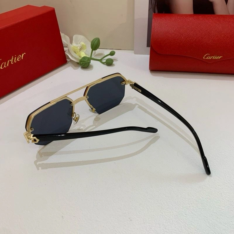 Top match Cartier Sunglasses