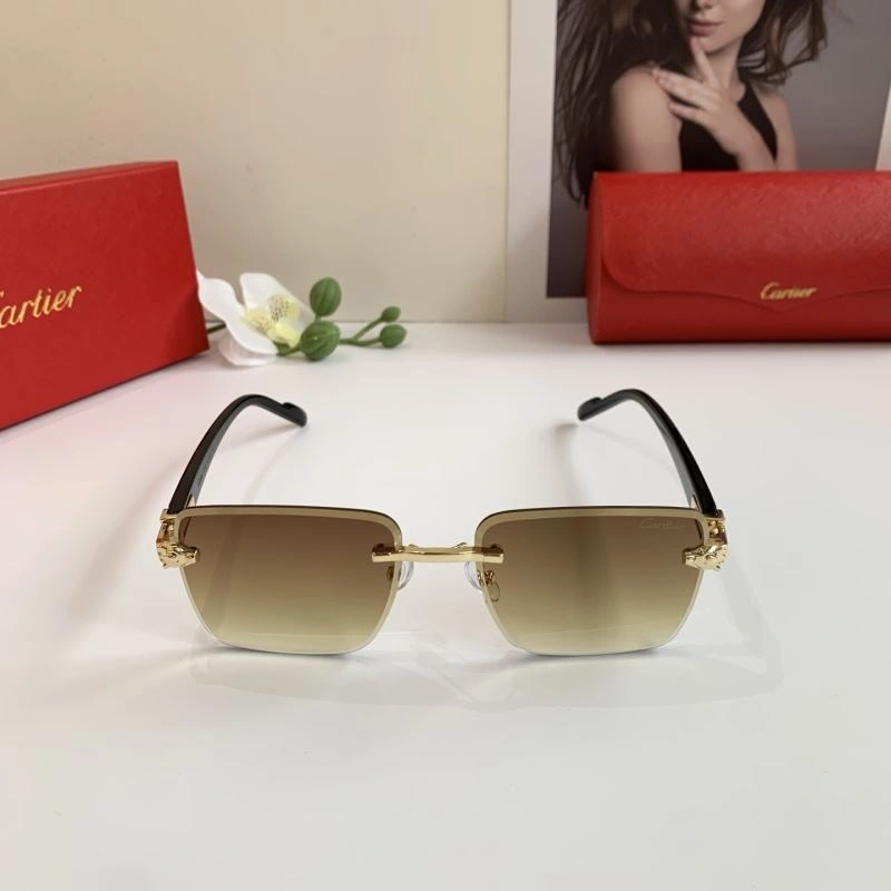 Cut-rate Cartier Sunglasses
