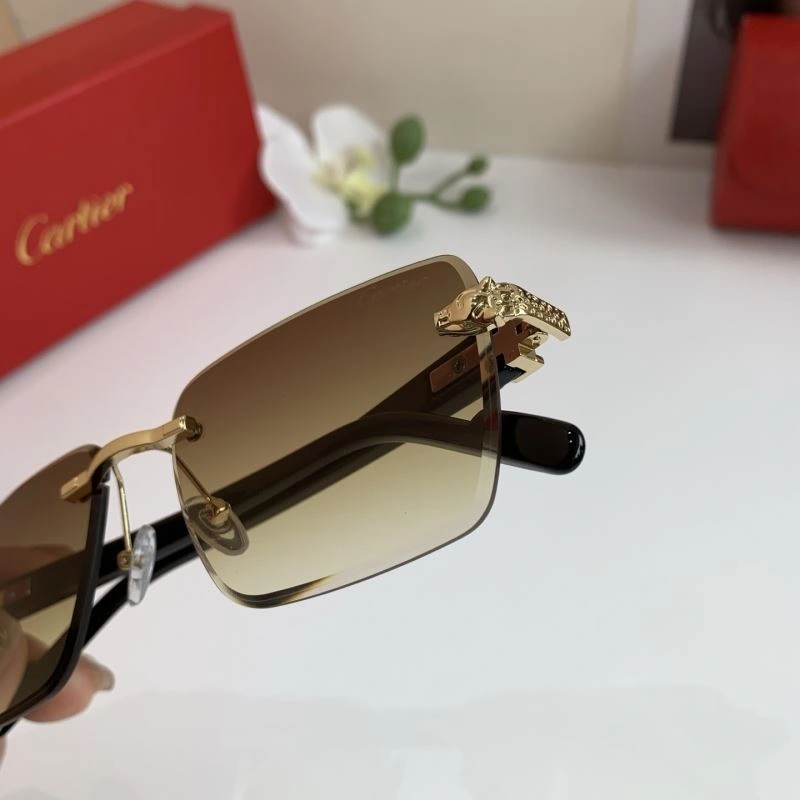 Cut-rate Cartier Sunglasses