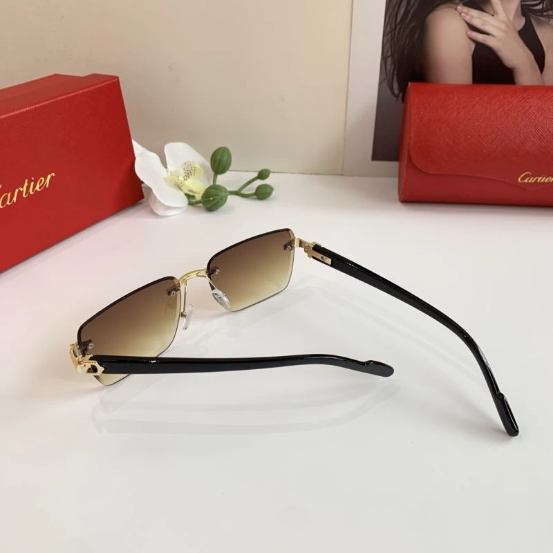Cut-rate Cartier Sunglasses