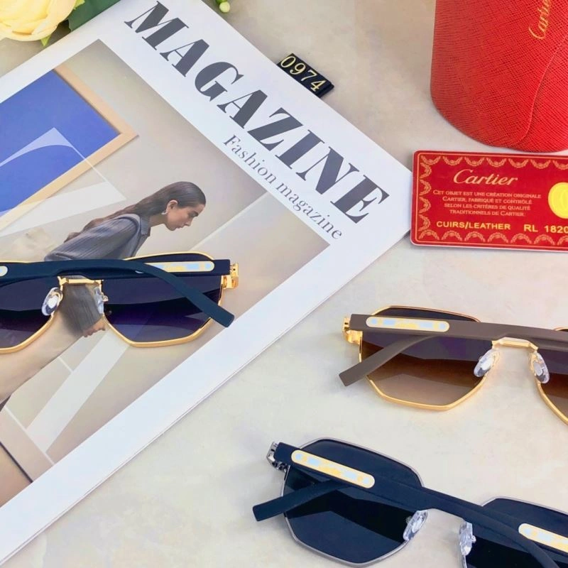 Mirror quality Cartier Sunglasses