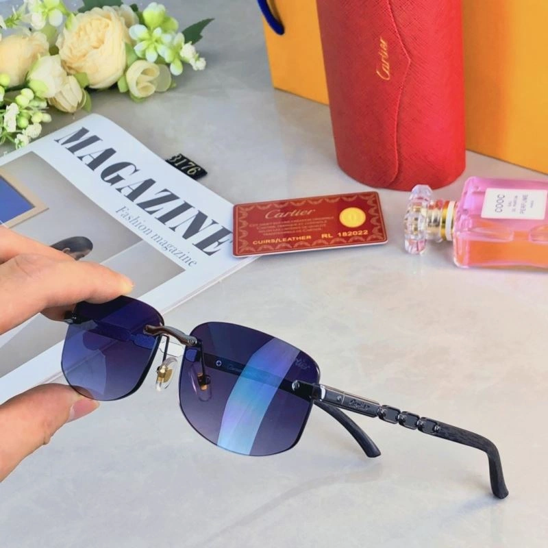 Cut-rate Cartier Sunglasses
