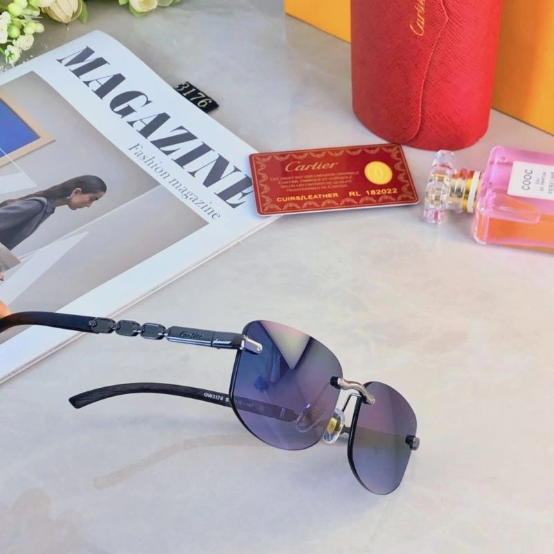 Cut-rate Cartier Sunglasses