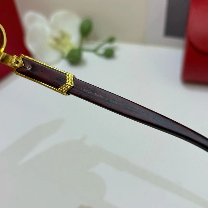 Official Cartier Sunglasses