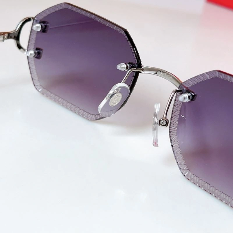 Mirror quality Cartier Sunglasses