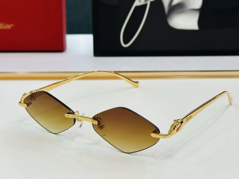 Indistinguishable Cartier Sunglasses
