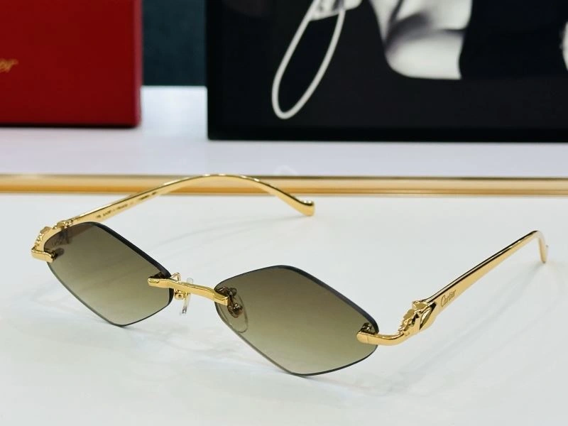 Indistinguishable Cartier Sunglasses