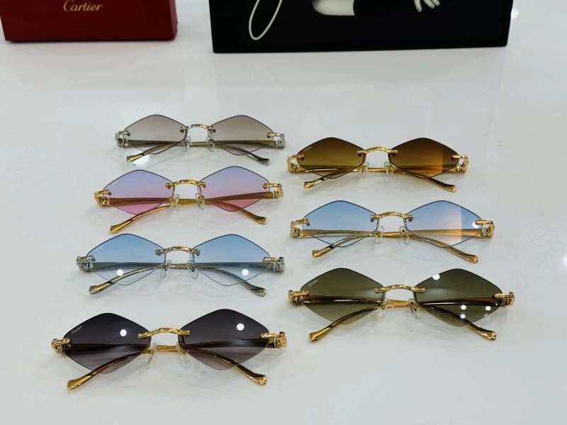 Indistinguishable Cartier Sunglasses