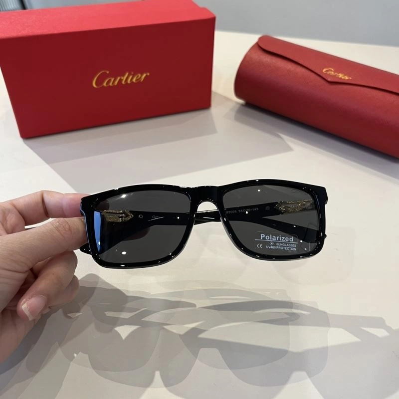 Mirror quality Cartier Sunglasses