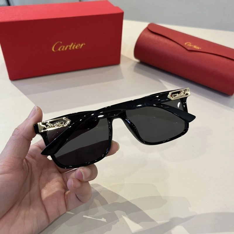 Mirror quality Cartier Sunglasses
