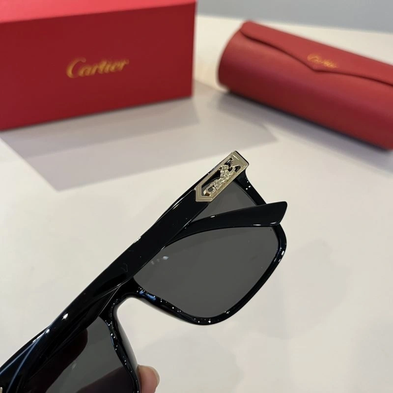 Mirror quality Cartier Sunglasses