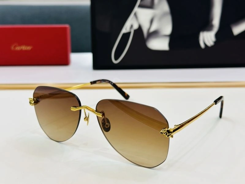 Reasonably priced Cartier Sunglasses