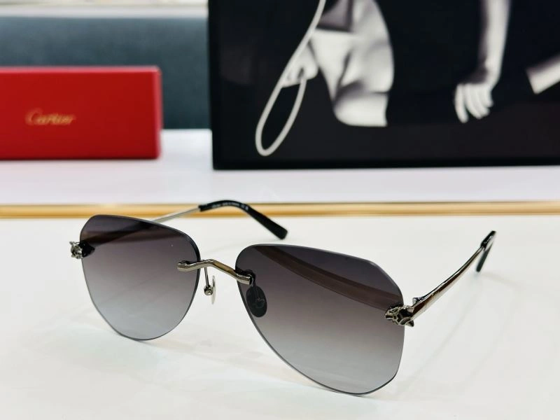 Reasonably priced Cartier Sunglasses