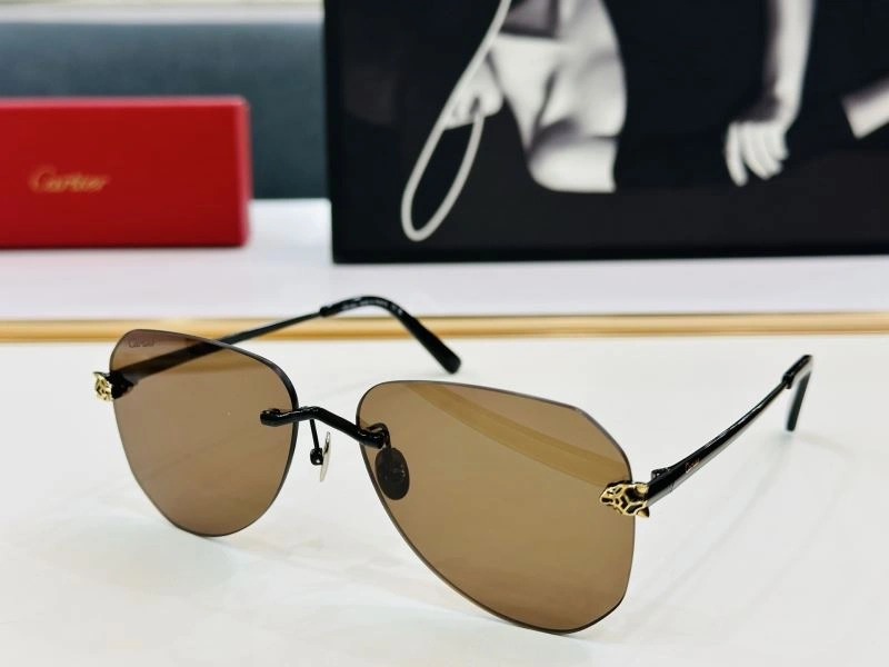 Reasonably priced Cartier Sunglasses