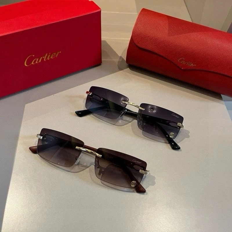 Indistinguishable Cartier Sunglasses