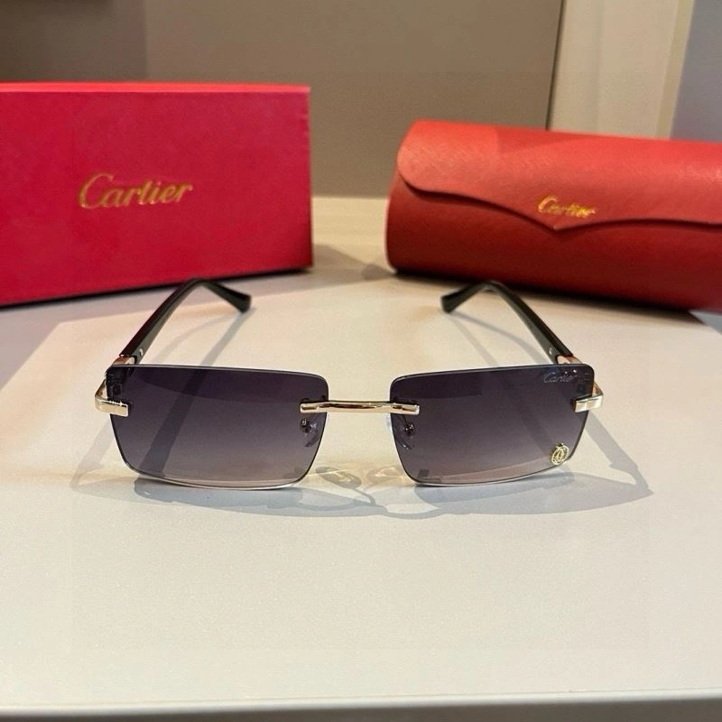 Indistinguishable Cartier Sunglasses