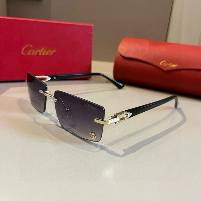 Indistinguishable Cartier Sunglasses