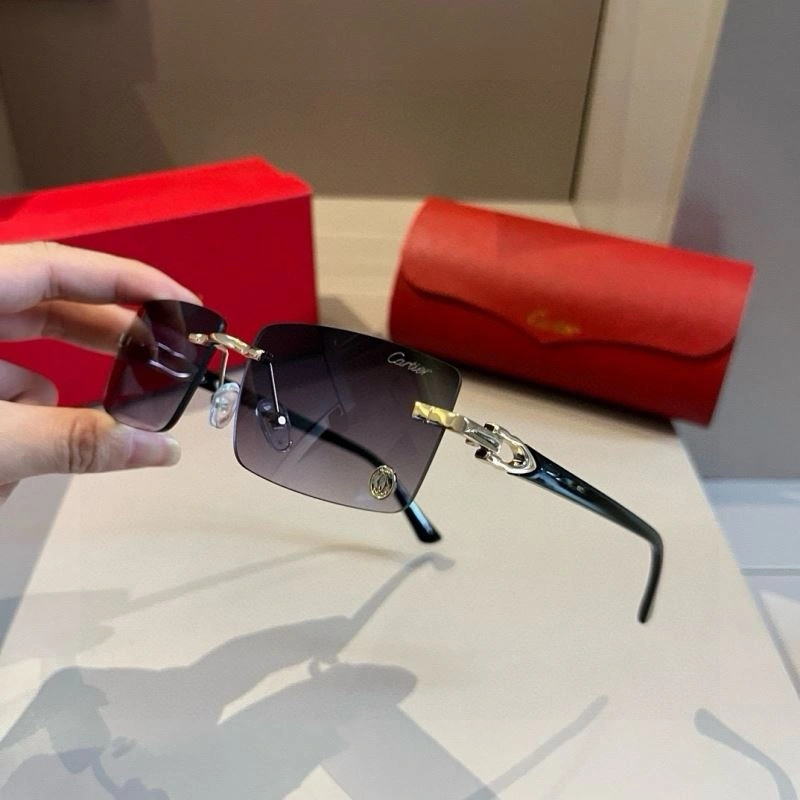 Indistinguishable Cartier Sunglasses