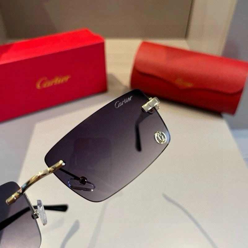 Indistinguishable Cartier Sunglasses
