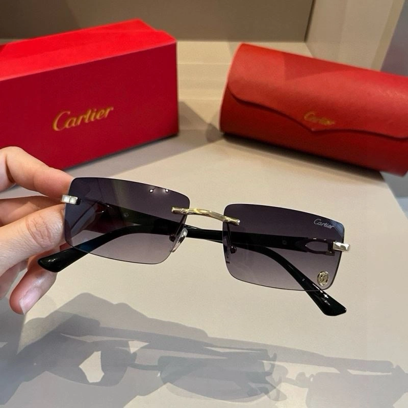 Indistinguishable Cartier Sunglasses