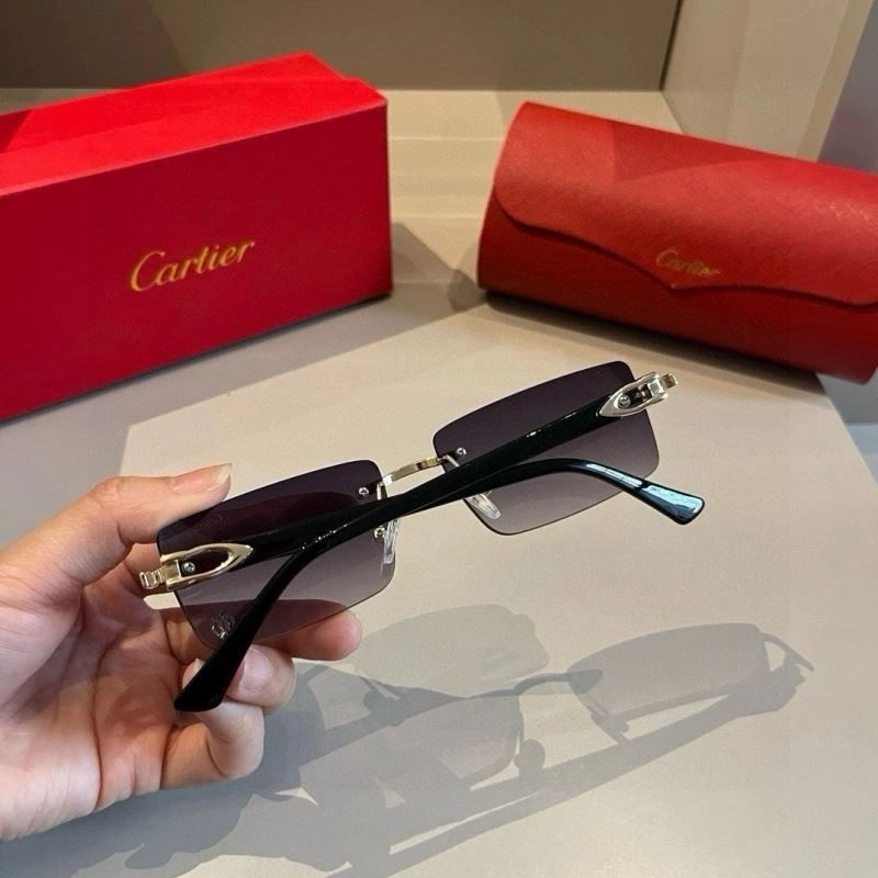 Indistinguishable Cartier Sunglasses